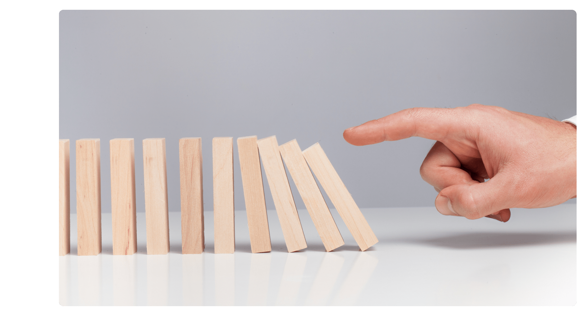 LIMS System - An Overview of the [FP]-LIMS Portfolio